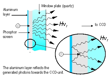 The Phosphor Screen of the Image Intensifier